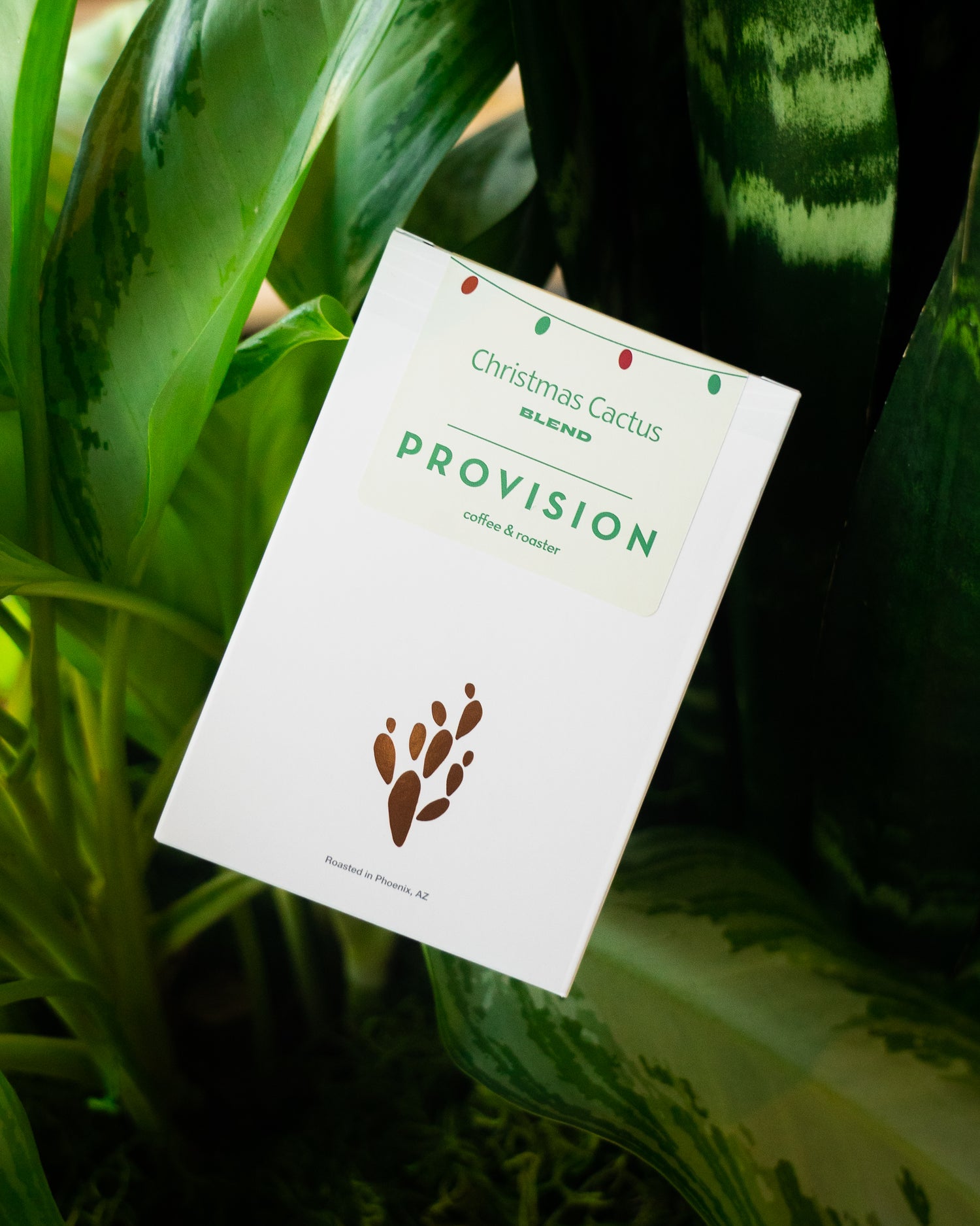 Blog – Provision Coffee